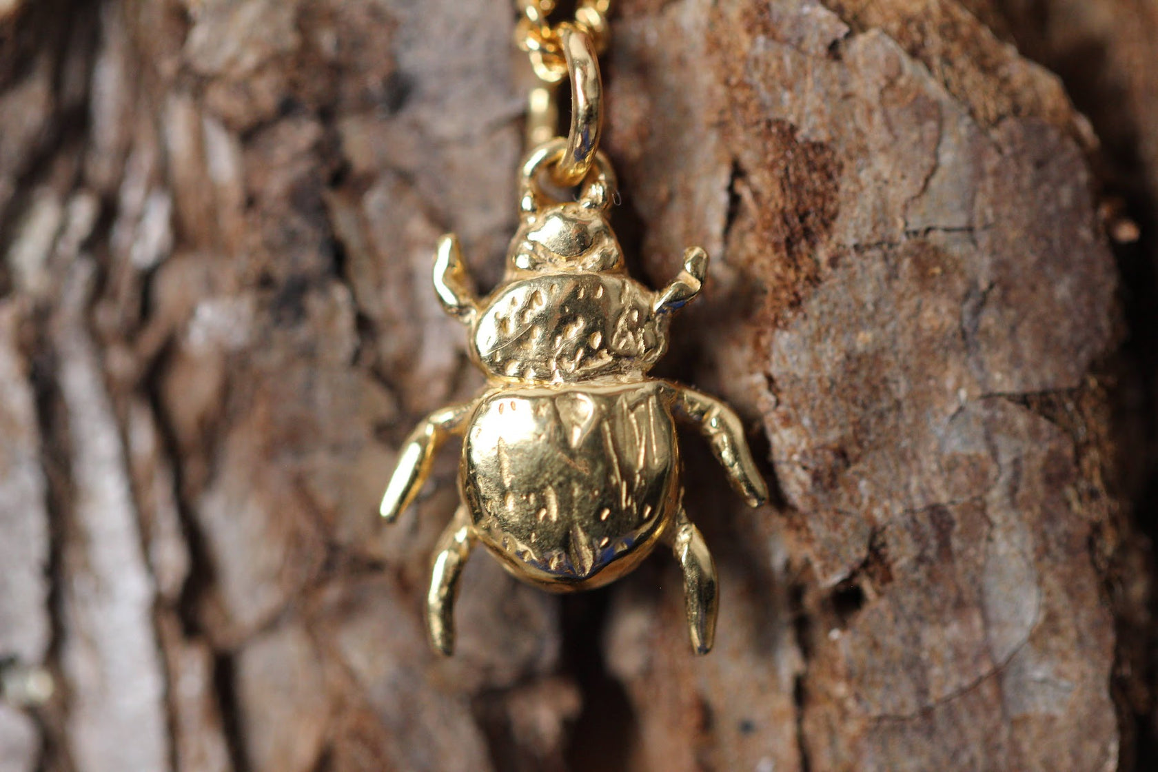 Tiny Beetle Silver and Gold Necklace – Ellie Jade Jewellery